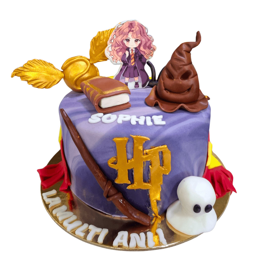 Tort Harry Potter TC 80 – Piticot.ro